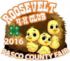 4-H Club Embroidered Patch Design Ideas from ClassB