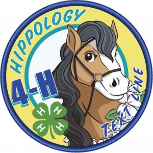 4-H Club Embroidered Patch Design Ideas from ClassB